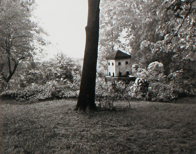 William Clift Desert Form No. 1Art Blart _ art and cultural memory archive