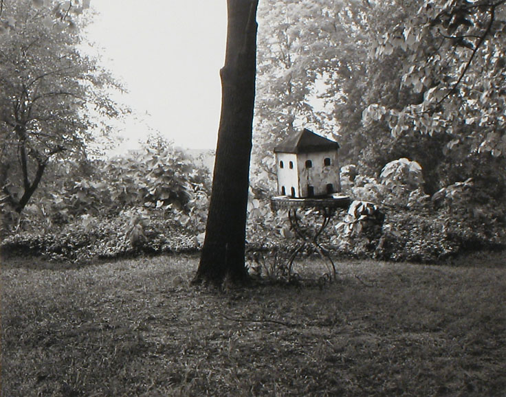 William Clift Apple Blossoms Velarde – Art Blart _ art and cultural ...