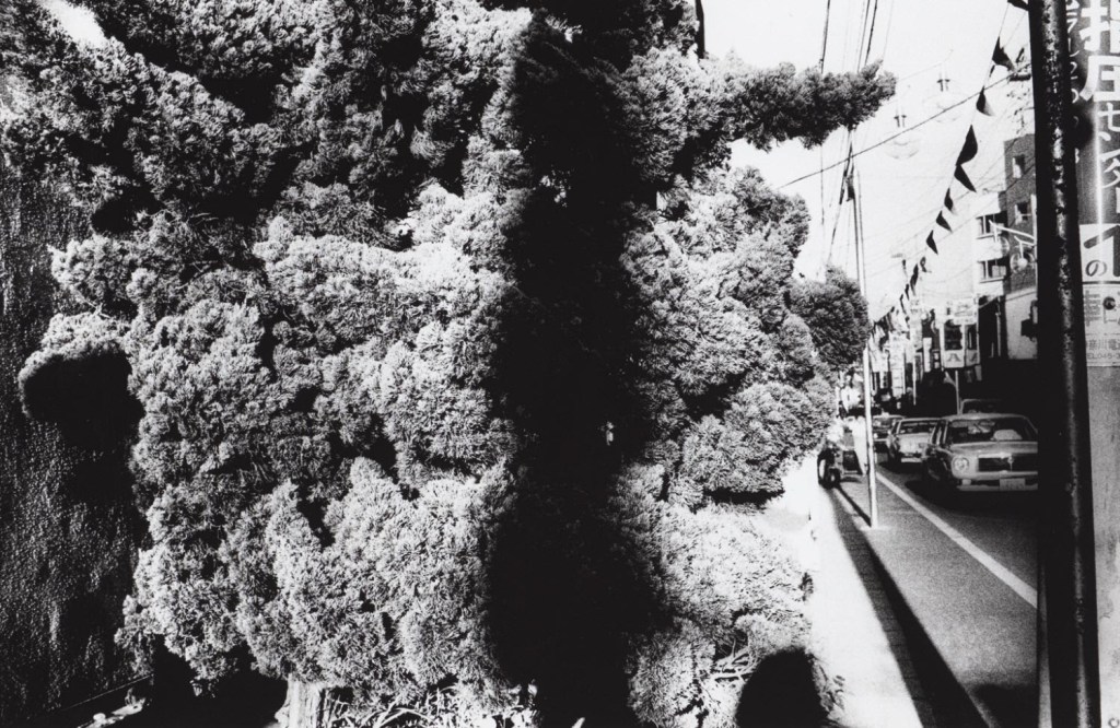 'Daidō Moriyama: Tokyo Photographs' at Philadelphia Museum of Art