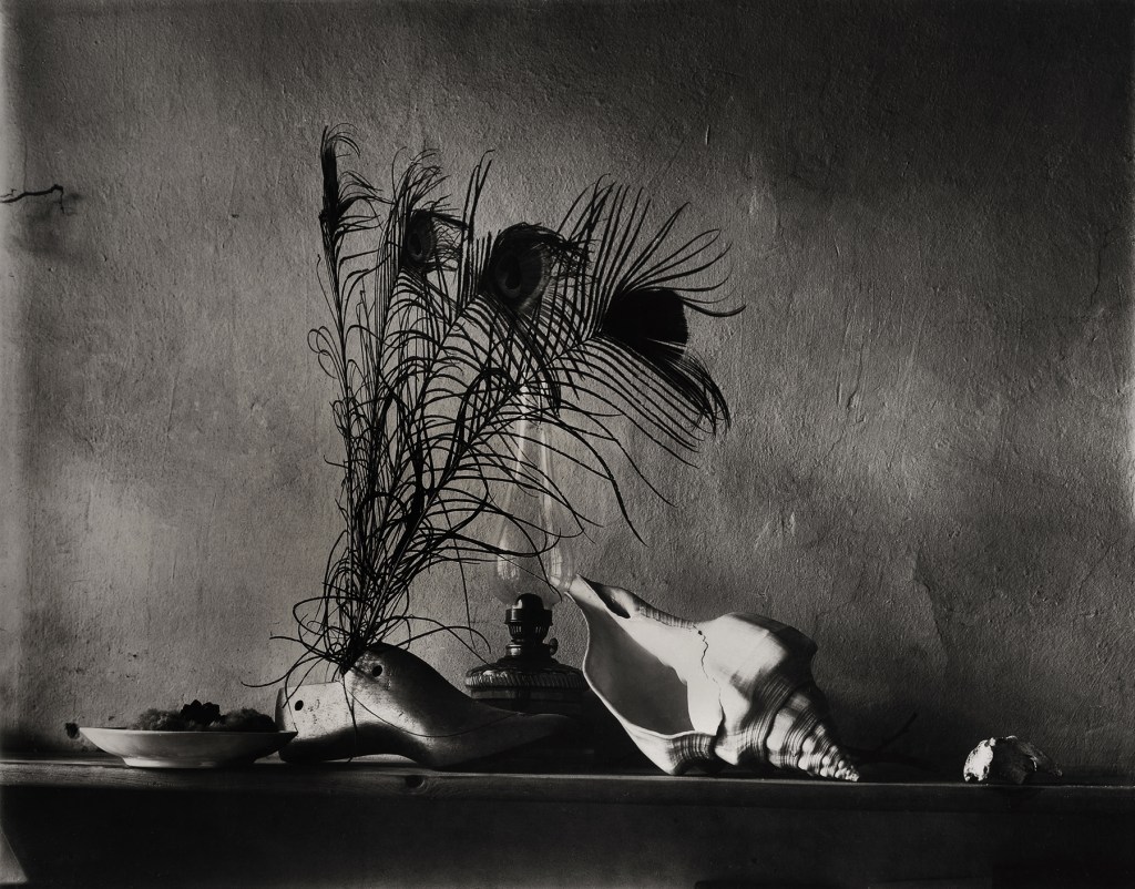 Josef Sudek: Master of Photography