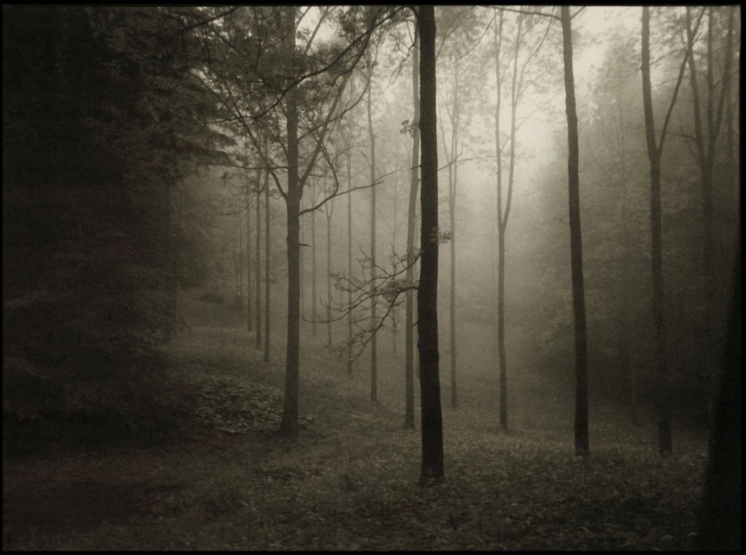 Josef Sudek: Master of Photography