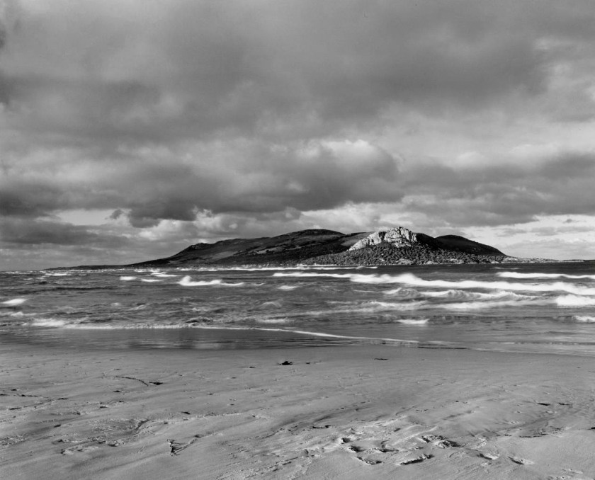 Ricky Maynard CustodiansArt Blart _ art and cultural memory archive