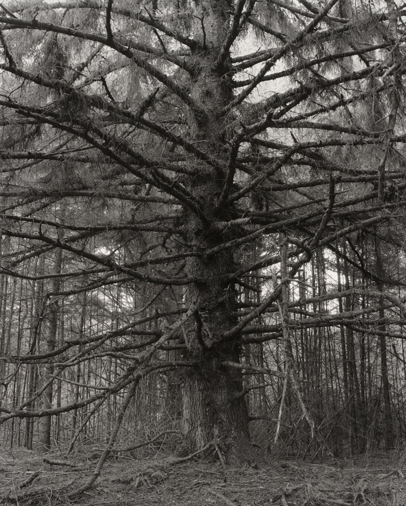 Exhibition: ‘Robert Adams: The Place We Live, A Retrospective Selection ...