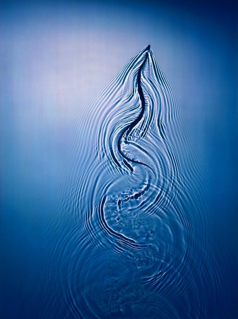 Exhibition: ‘Adam Fuss A Survey of his Work: 1986/2010’ at Huis ...