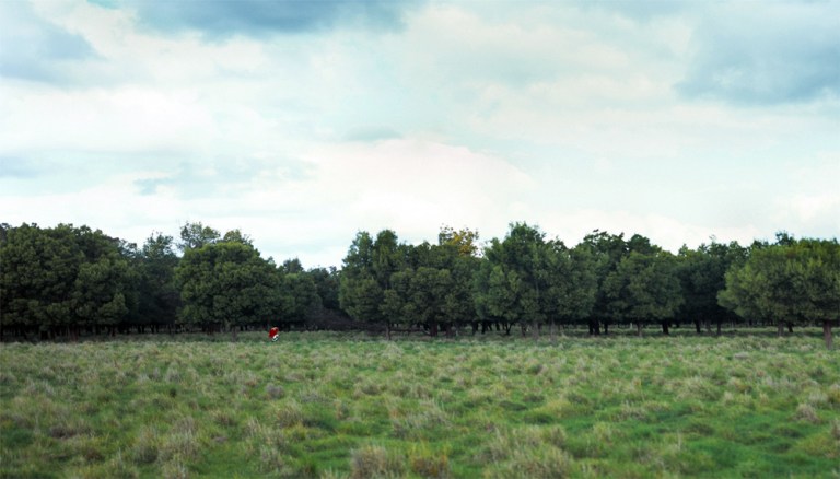 David-Ashley KerrArt Blart _ art and cultural memory archive