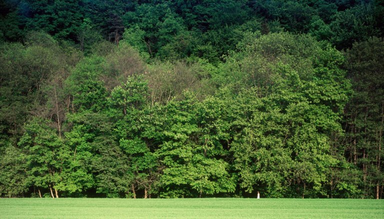 photography exhibitions from around the world | Art Blart _ art and ...