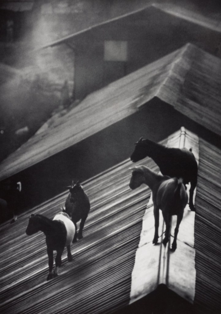 W. Eugene Smith Dance of the Flaming Coke – Art Blart _ art and ...