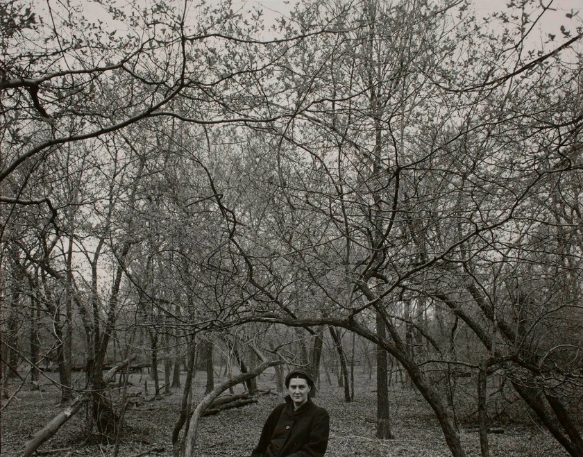 Harry Callahan Eleanor 1945Art Blart _ art and cultural memory archive