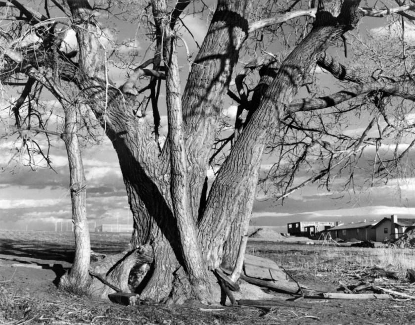 Robert Adams: The Place We LiveArt Blart _ art and cultural memory archive