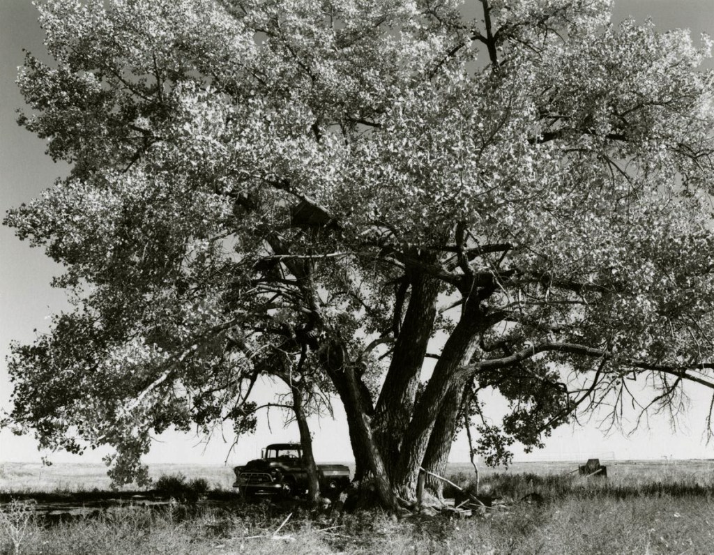 Robert Adams: The Place We LiveArt Blart _ art and cultural memory archive