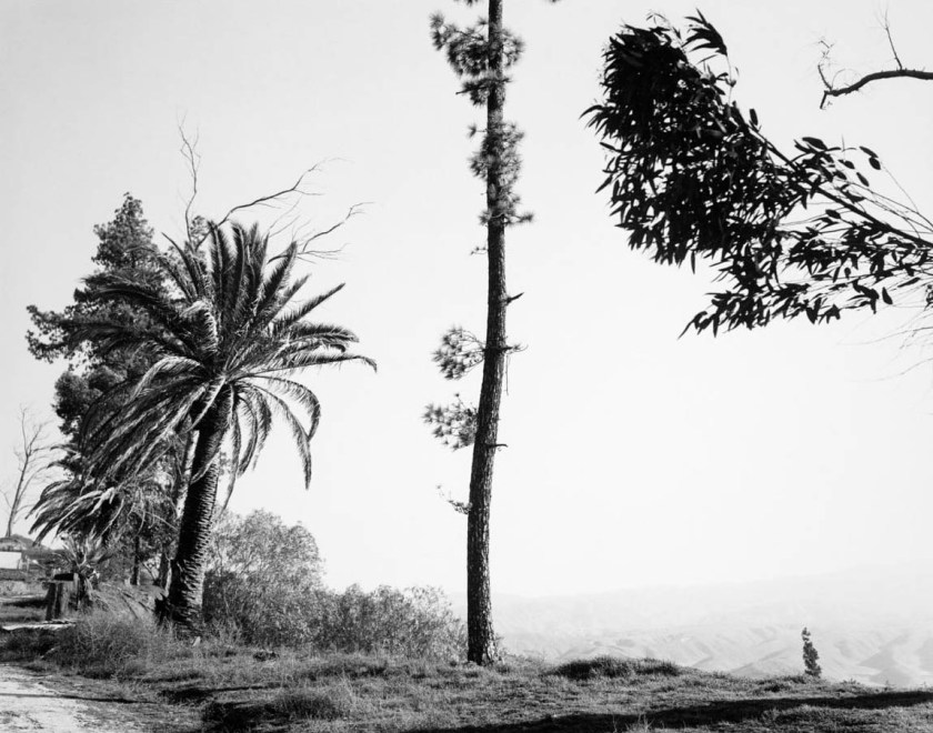 Exhibition: ‘Robert Adams: The Place We Live, a retrospective selection ...