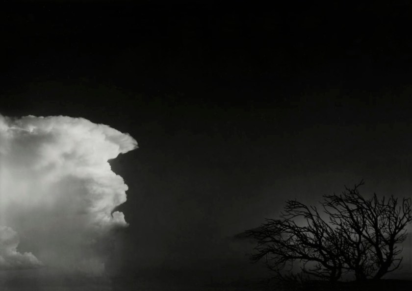 formalist photographyArt Blart _ art and cultural memory archive