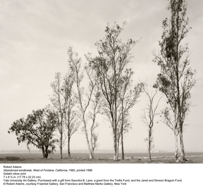 Robert Adams Eden ColoradoArt Blart _ art and cultural memory archive