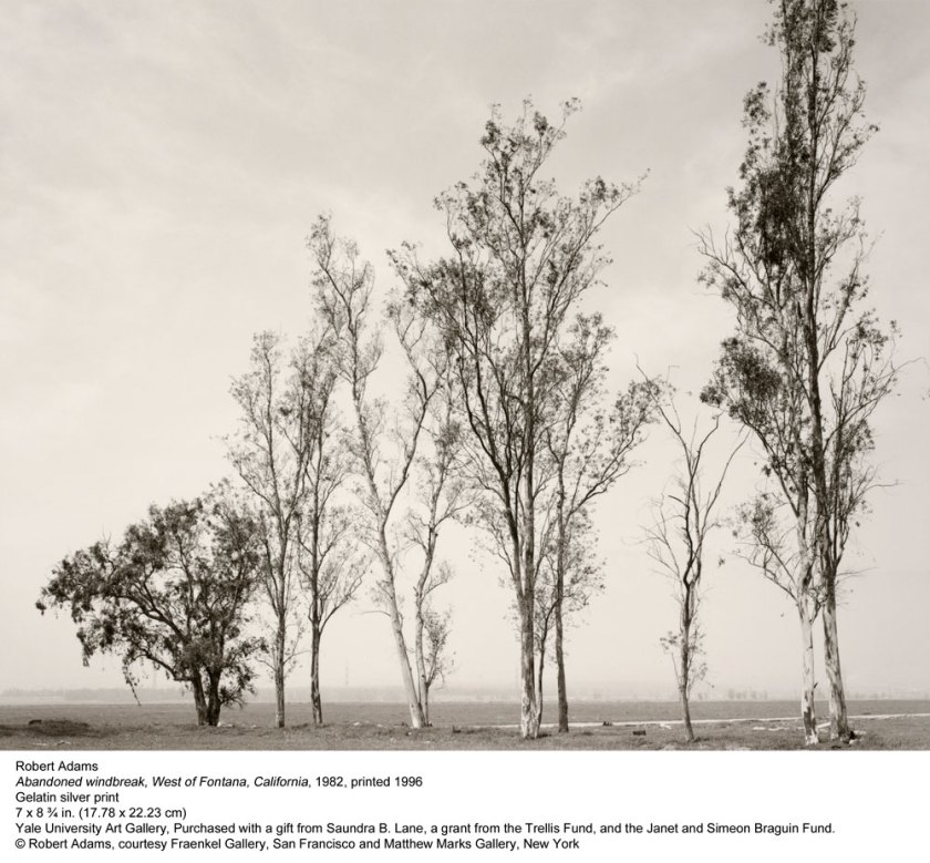 Exhibition: ‘Robert Adams: The Place We Live, a retrospective selection ...
