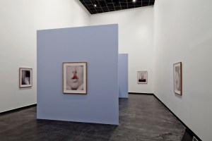 Review: ‘Pat Brassington: À Rebours’ at the Australian Centre for ...