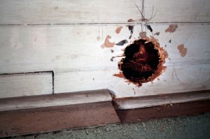 Jeff Wall The Destroyed Room – Art Blart _ art and cultural memory archive