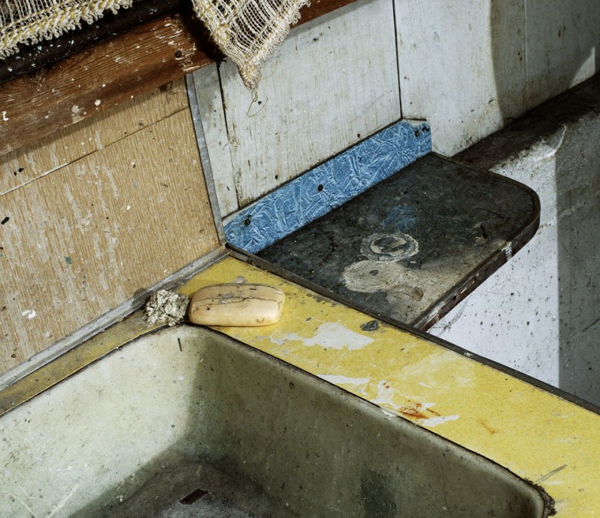 Jeff Wall Adrian Walker artist drawing from a specimen in a laboratory ...