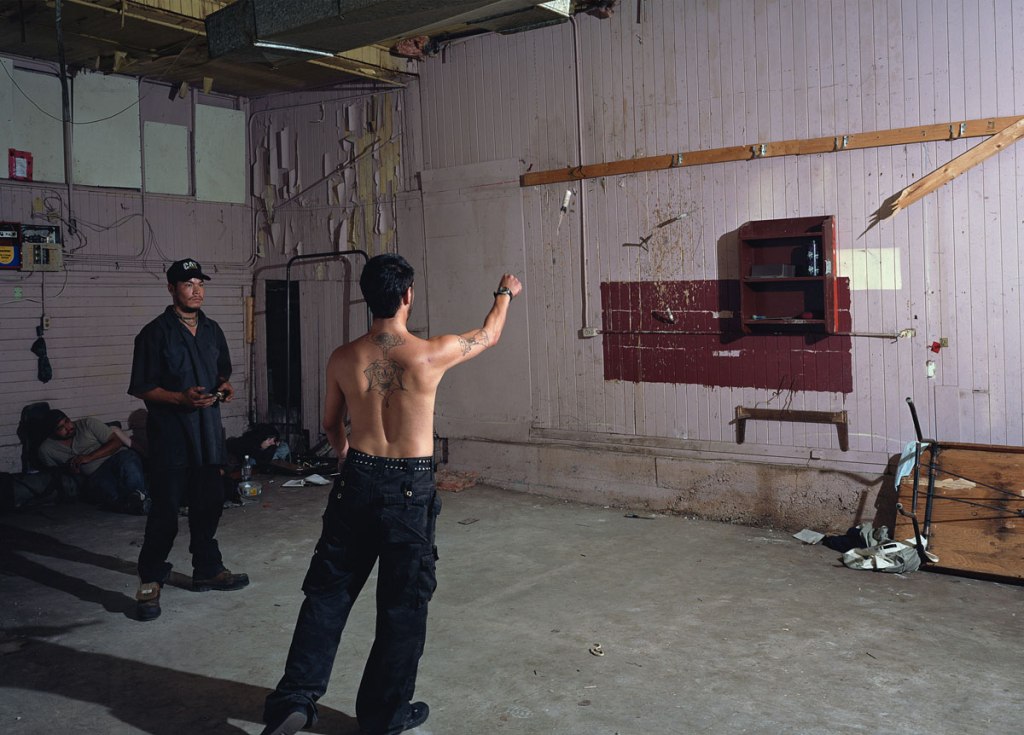 Jeff Wall Adrian Walker artist drawing from a specimen in a laboratory ...