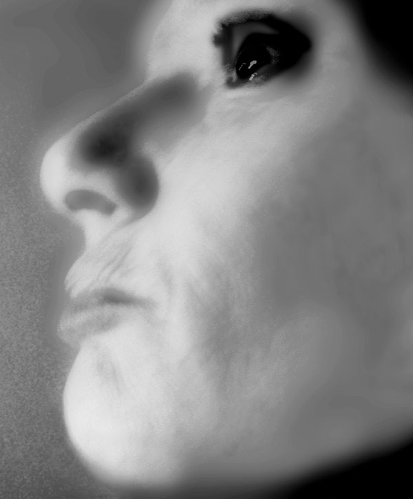 Exhibition: ‘Pat Brassington: Quill’ at Bett Gallery, HobartArt Blart ...