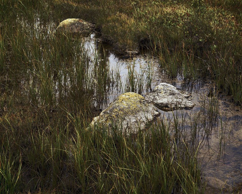 Review: ‘Johsel Namkung: A Retrospective’ published by Cosgrove ...