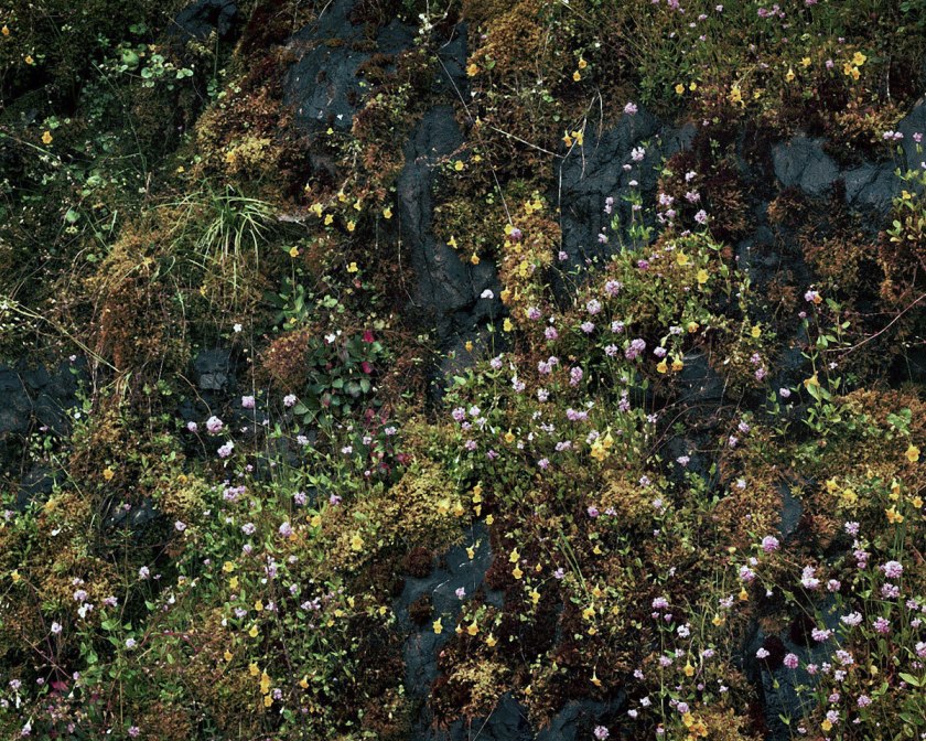 Review: ‘Johsel Namkung: A Retrospective’ published by Cosgrove ...