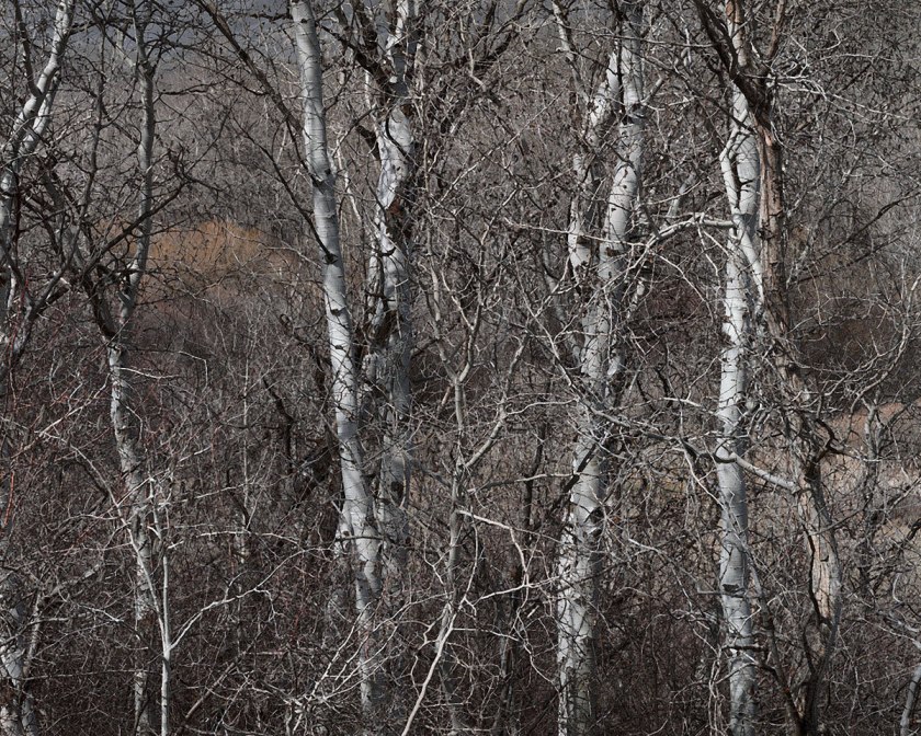 Review: ‘Johsel Namkung: A Retrospective’ published by Cosgrove ...