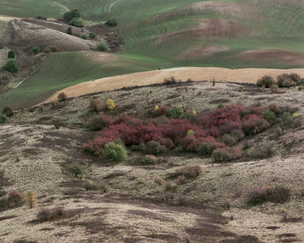 Johsel Namkung – Art Blart _ art and cultural memory archive