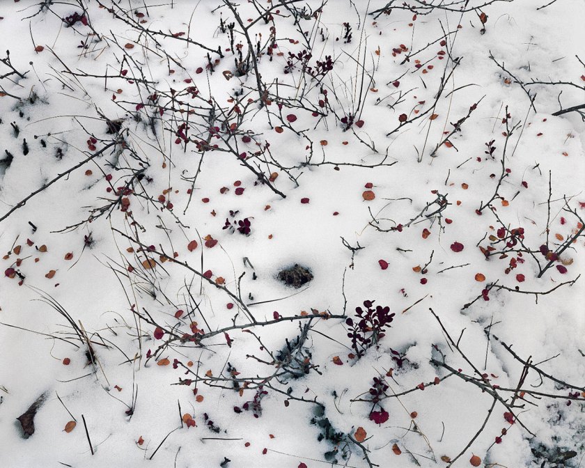 Johsel NamkungArt Blart _ art and cultural memory archive