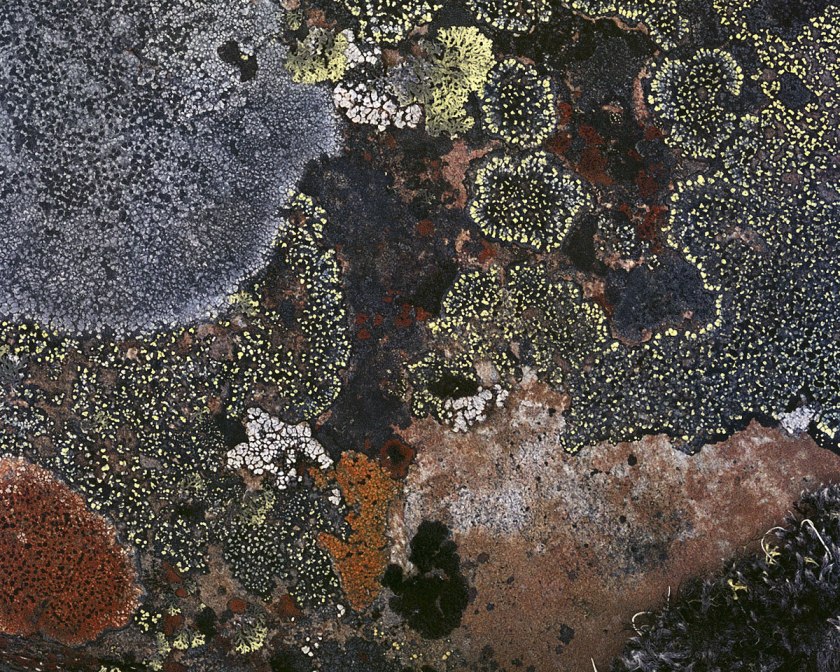 Johsel NamkungArt Blart _ art and cultural memory archive