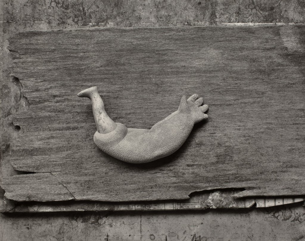 Exhibition: ‘A World of Bonds: Frederick Sommer’s Photography and ...