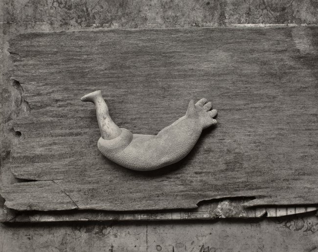 Exhibition: ‘A World of Bonds: Frederick Sommer’s Photography and ...