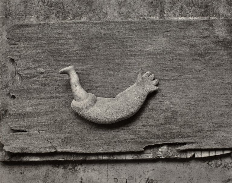 Exhibition: ‘A World of Bonds: Frederick Sommer’s Photography and ...