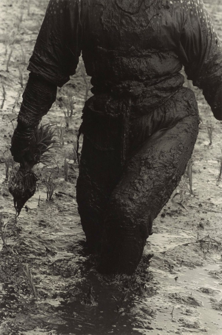 Exhibition: ‘Japan’s Modern Divide: The Photographs of Hiroshi Hamaya ...