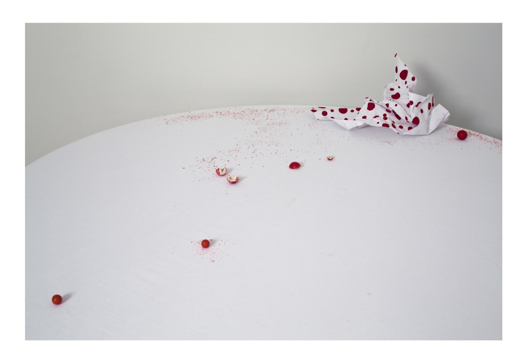 Anne MacDonald – Art Blart _ art and cultural memory archive