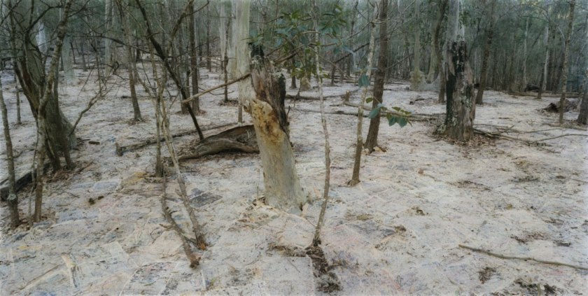 Wodi Wodi peopleArt Blart _ art and cultural memory archive