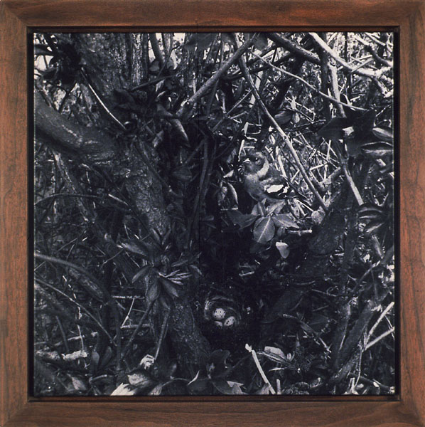 Exhibition: ‘John Divola: As Far As I Could Get’ at the Los Angeles ...