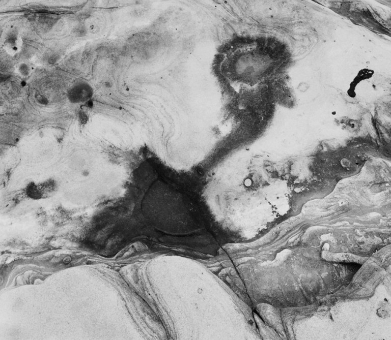 Minor White “Something Died Here”Art Blart _ art and cultural memory ...