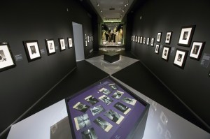 Horst P. Horst Patterns from Nature Photographic CollageArt Blart _ art ...