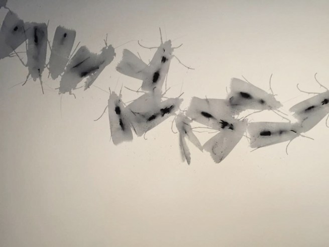Harry Nankin Ekkyklema #1 – Art Blart _ art and cultural memory archive