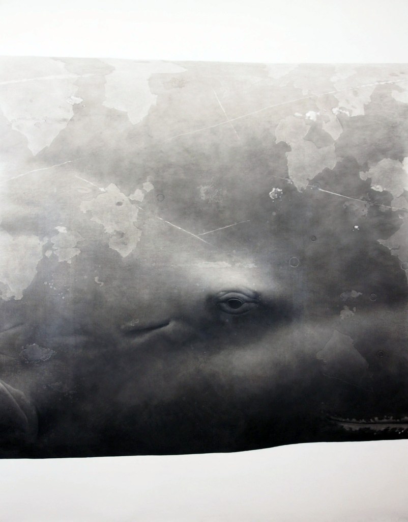 Exhibition: ‘Nature/Revelation’ at The Ian Potter Museum of Art ...