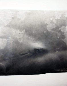 'Nature/Revelation' at The Ian Potter Museum of Art, Melbourne