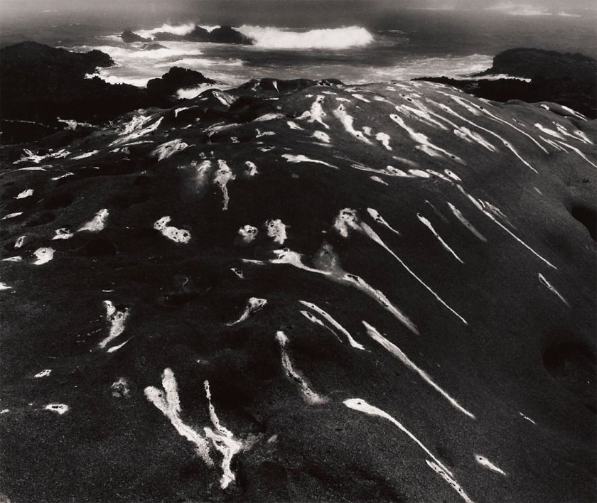 formalist photographyArt Blart _ art and cultural memory archive