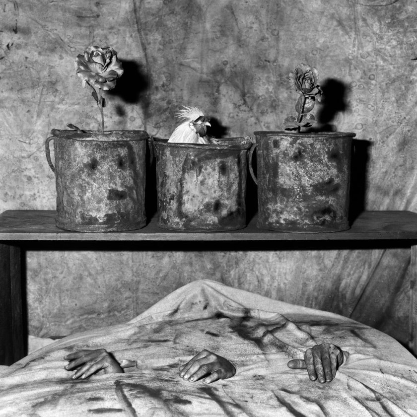 'Roger Ballen's Theatre of the Mind' at SCA Galleries