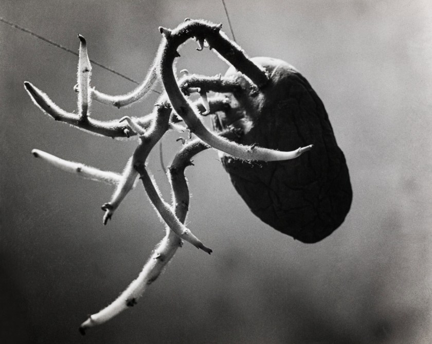 Hans Bellmer The DollArt Blart _ art and cultural memory archive