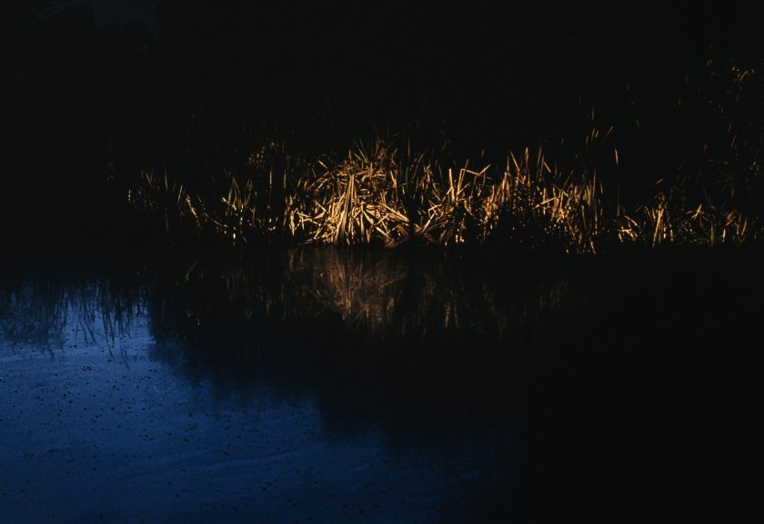 'Bill Henson: Landscapes' Castlemaine Art Gallery & Historical Museum