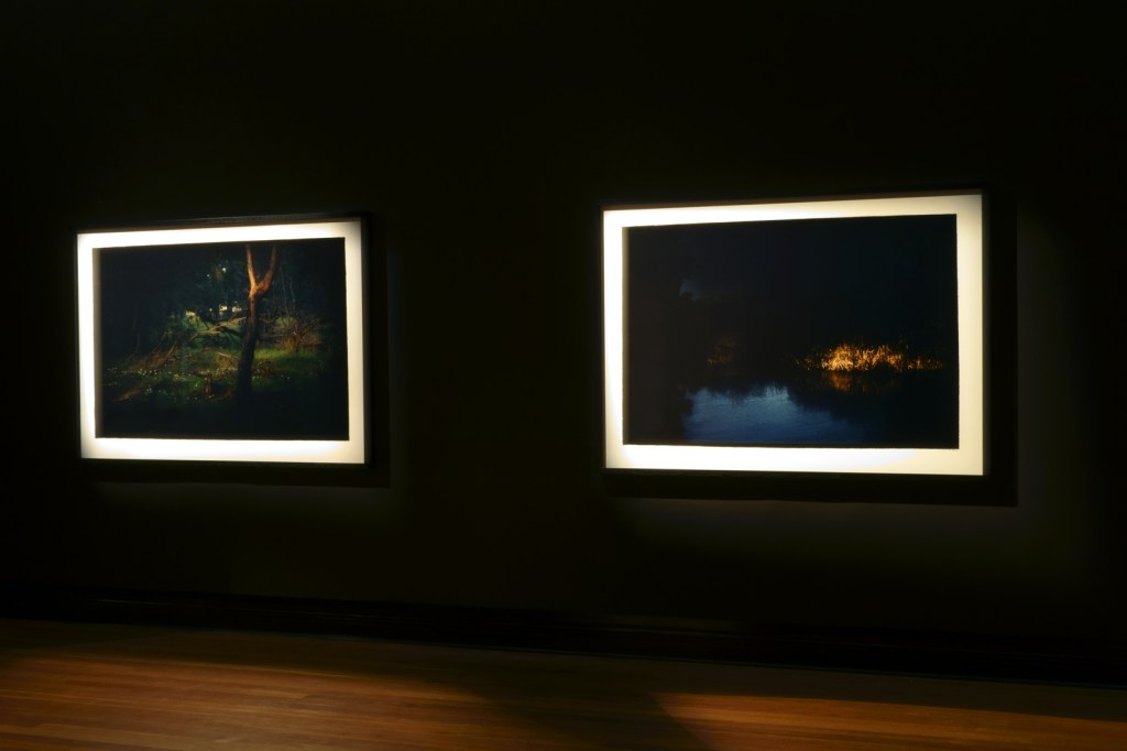 'Bill Henson: Landscapes' Castlemaine Art Gallery & Historical Museum