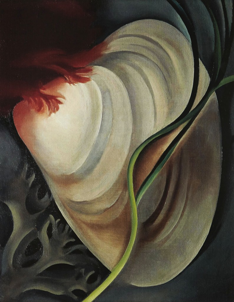 Georgia O’Keeffe Shell No. 2 – Art Blart _ art and cultural memory archive