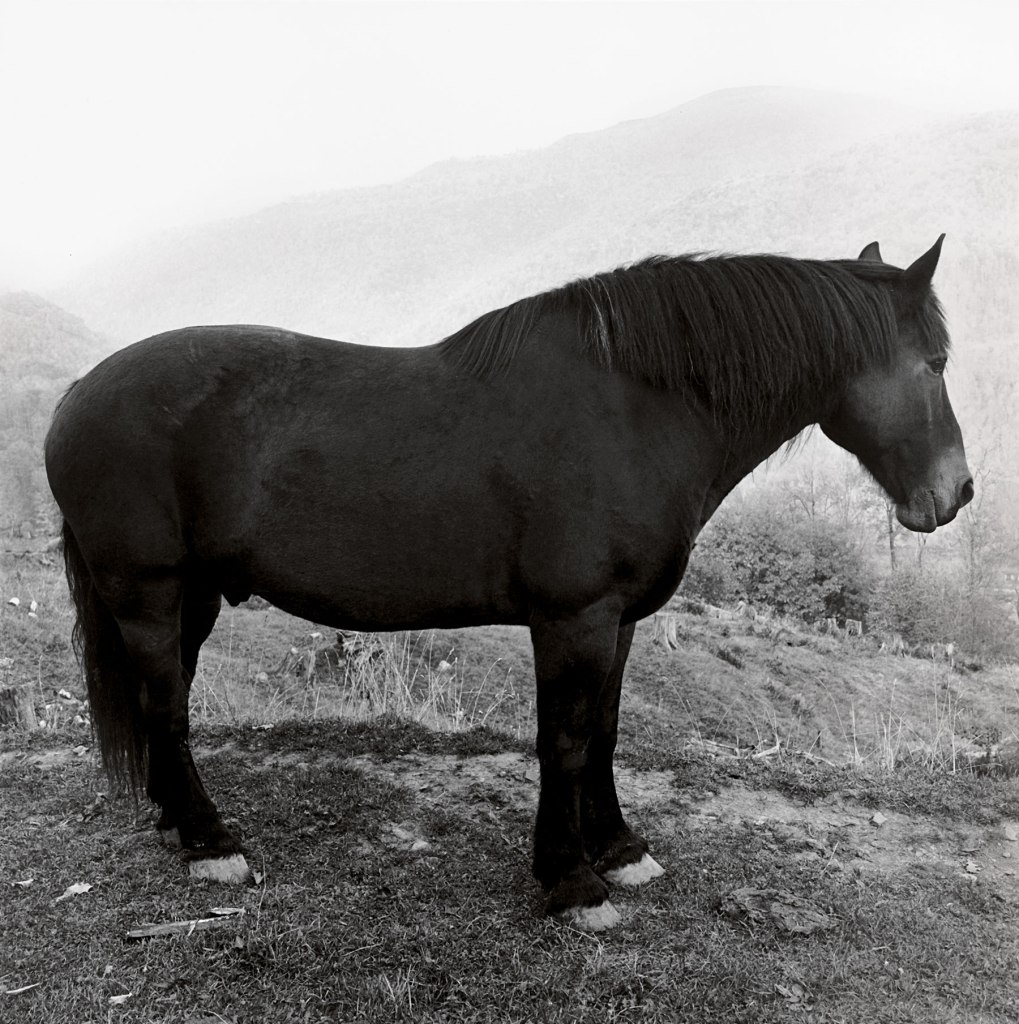 'Peter Hujar: Speed of Life' at Fundación MAPFRE, Barcelona