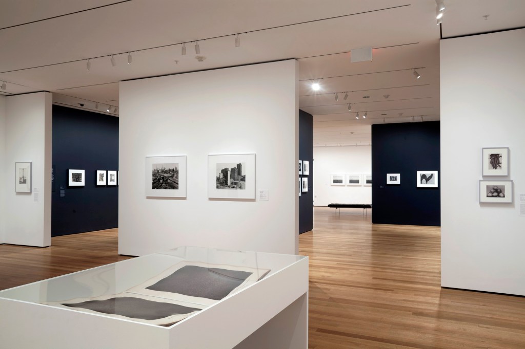Exhibition: ‘The Shape of Things: Photographs from Robert B. Menschel ...
