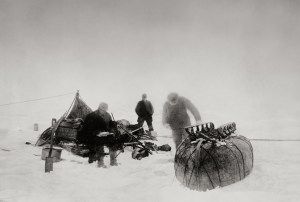 'Written in Light – The First Photographers' Moderna Museet, Stockholm